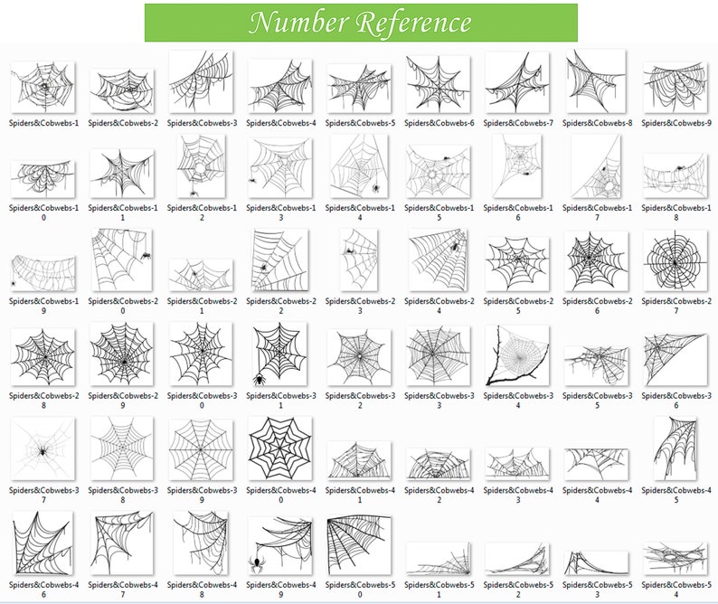 Spider & Cobweb Procreate Stamp Brushes, Halloween Scary Spiderweb ...