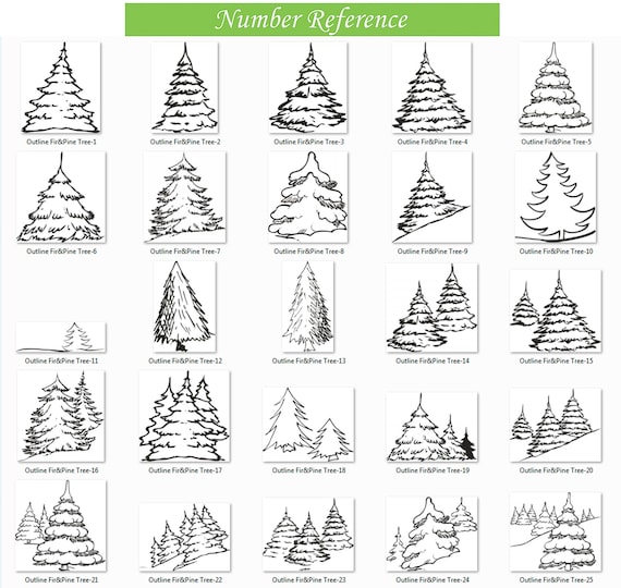 Evergreen Tree Outline Drawing