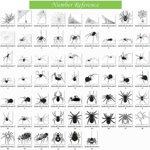 Spider & Spiderweb Clipart, Cobweb Clipart, Spider Web Svg, Halloween ...