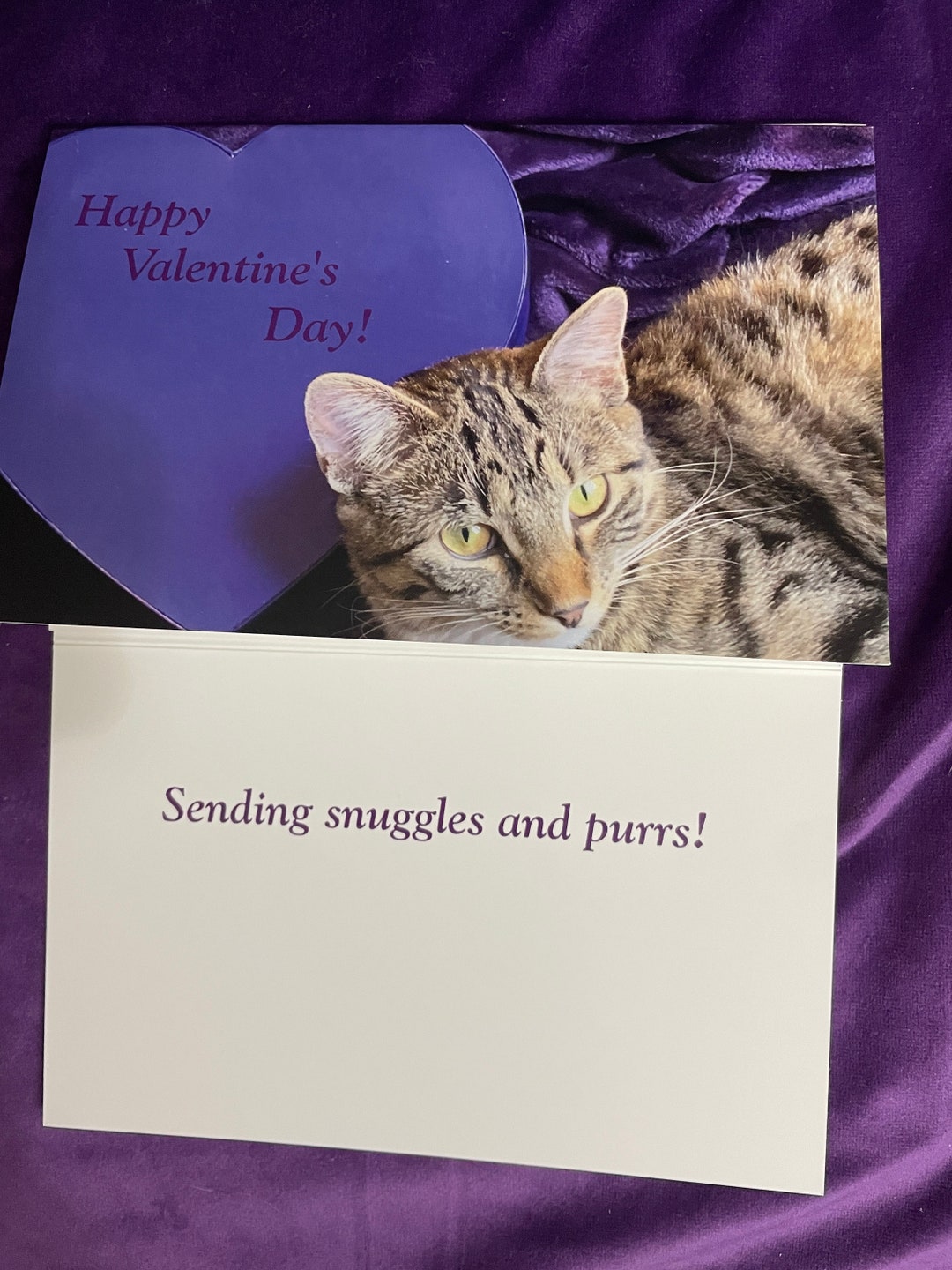 Valentine's Analogy - Etsy