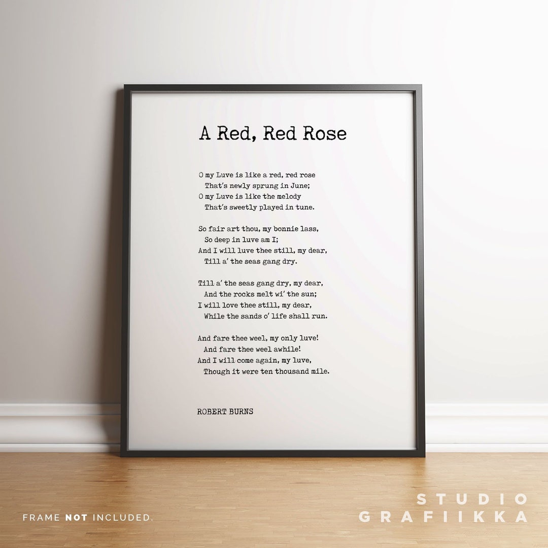 A Red, Red Rose - Robert Burns Poem Print - High Quality Poster ...