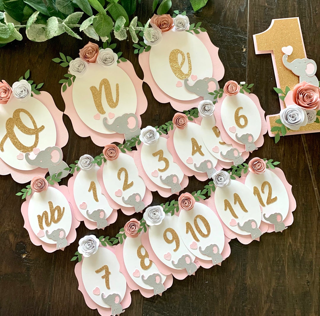 Floral Milestone Photo Banner, Photo Banners, 1st Birthday Banner ...
