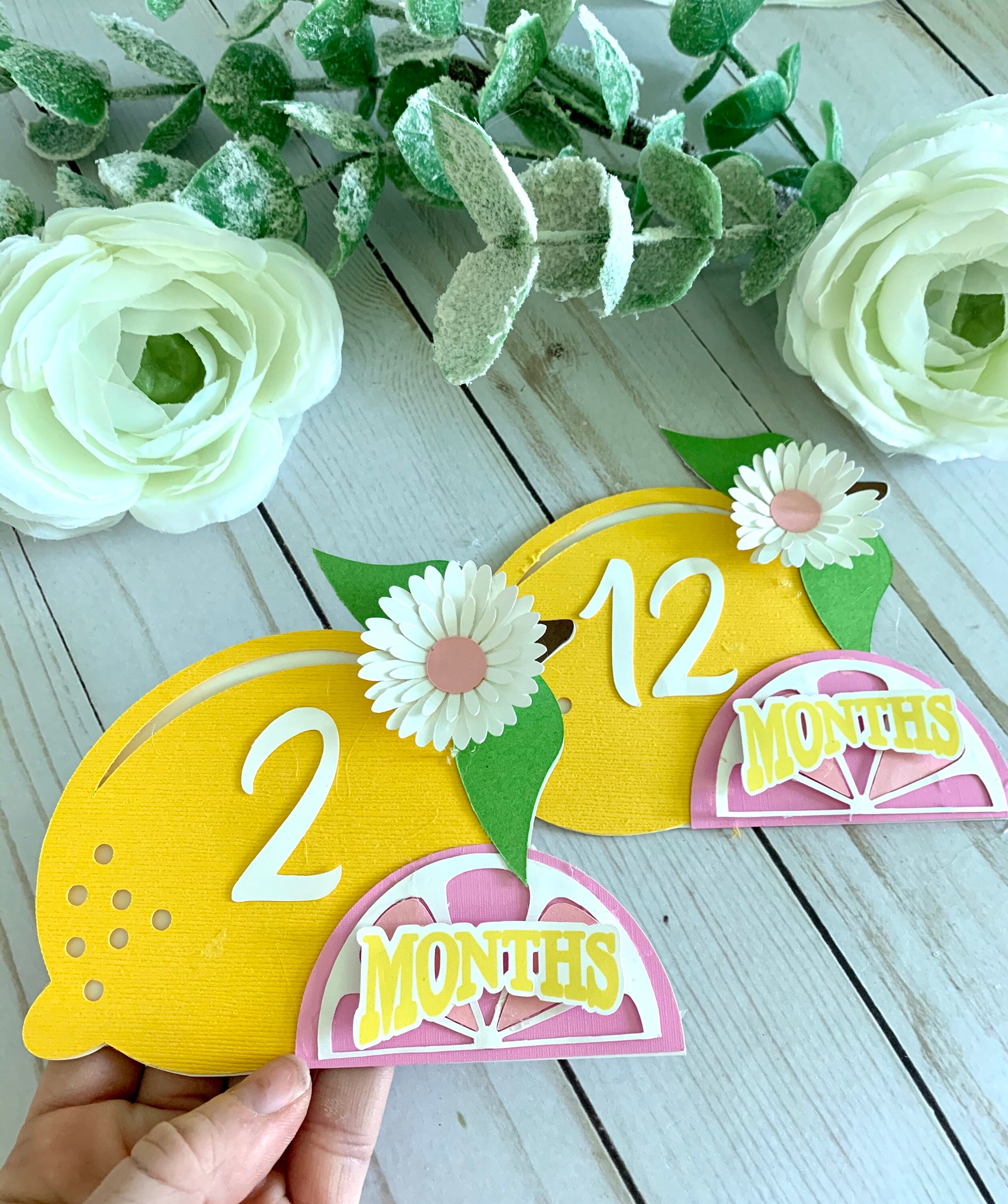 Lemon Themed Monthly Photo Cards Milestone Baby Cards / - Etsy