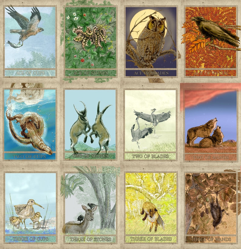 Nature Tarot Cards - Etsy
