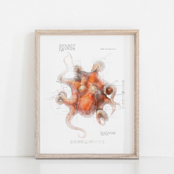 Octopus Print Minimalist Blueprint Marine Print Nautical | Etsy