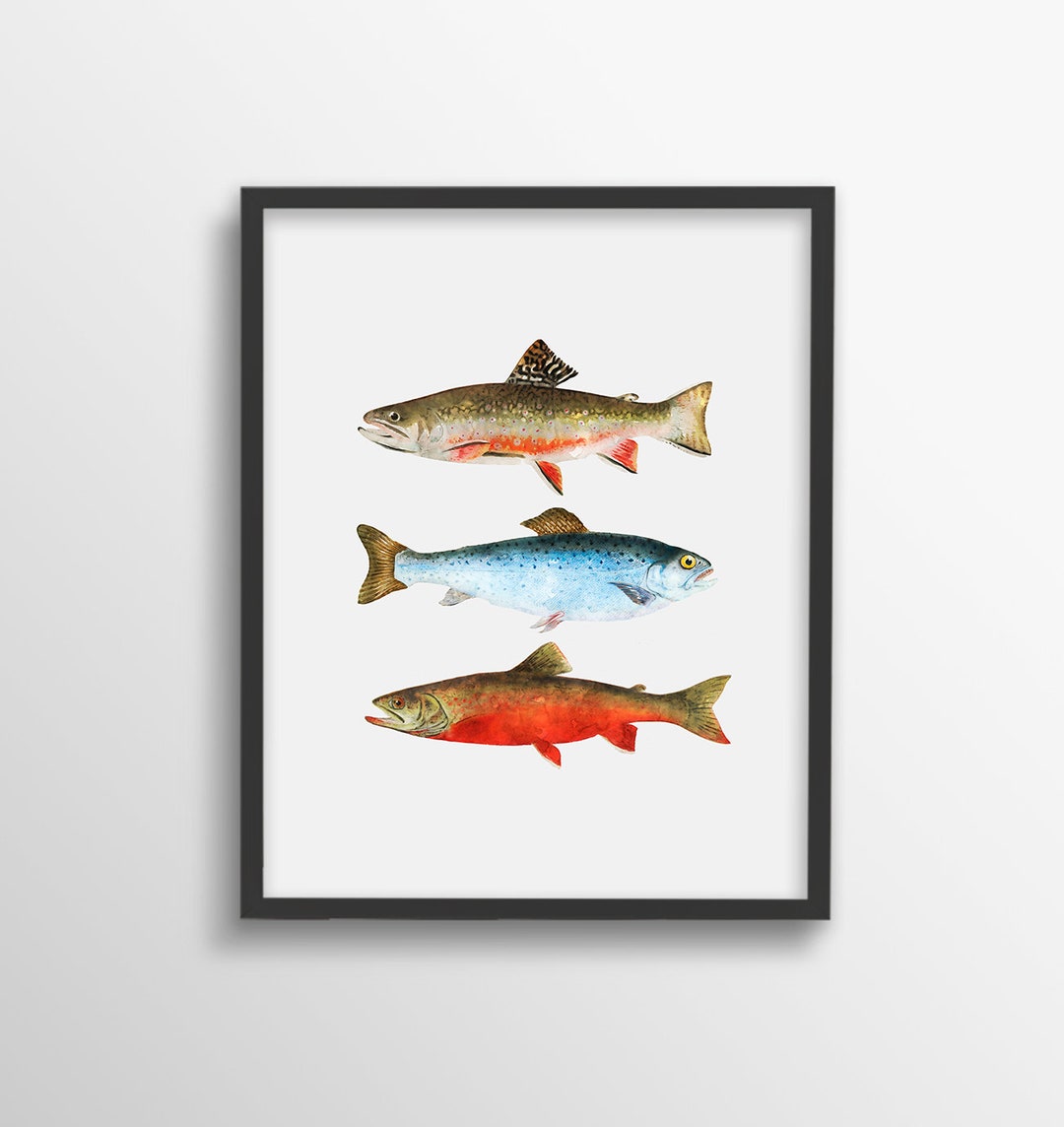 Trout Print, Watercolor Fish, Fish Print, Marine Print, Nautical Print ...