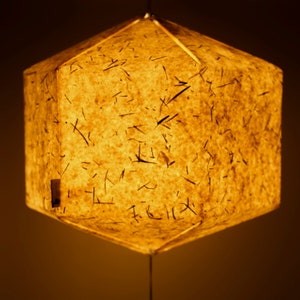 Brownfolds Hex Paper Lantern - Etsy
