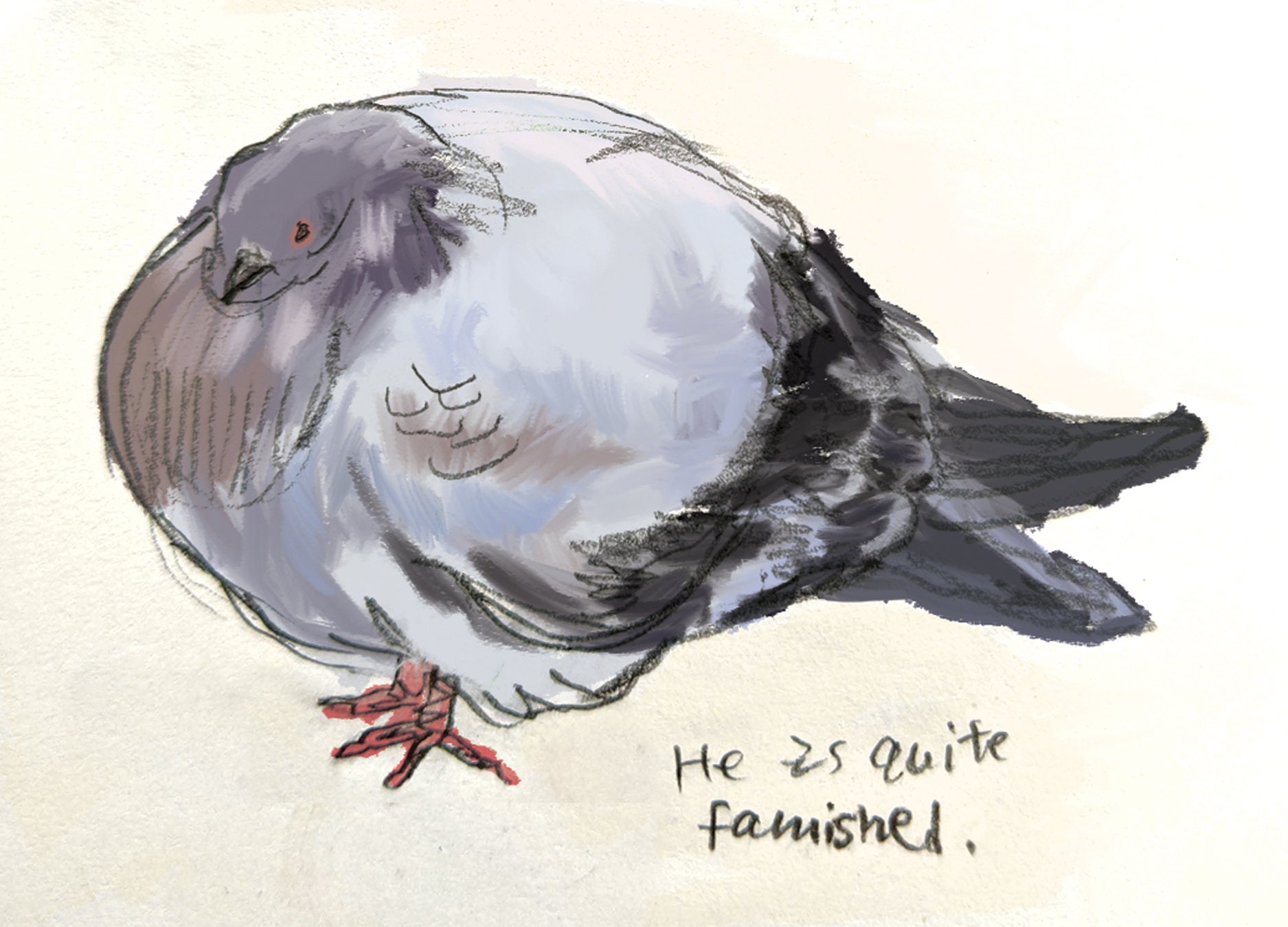 Famished Lad Pigeon Postcard/print/sticker - Etsy