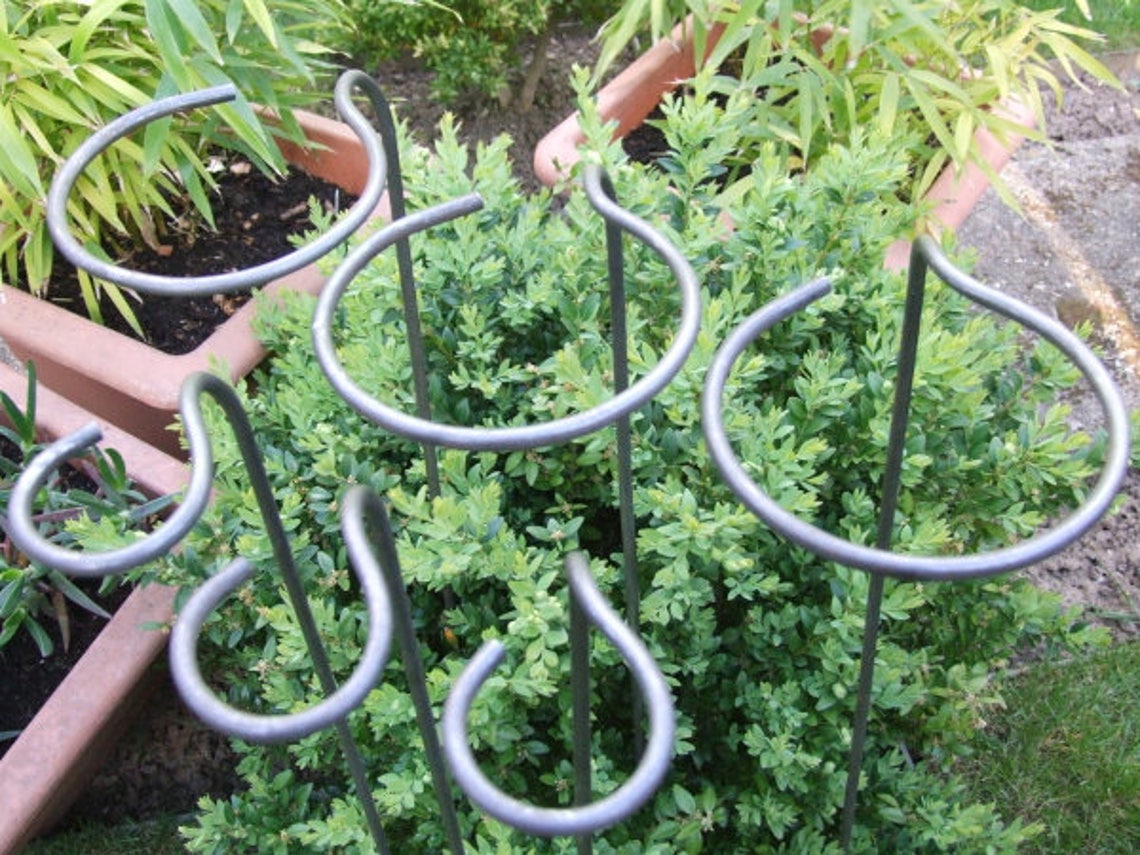 Plant Supports (5 X Naturally Rusting Loop-supports) Made in UK From ...