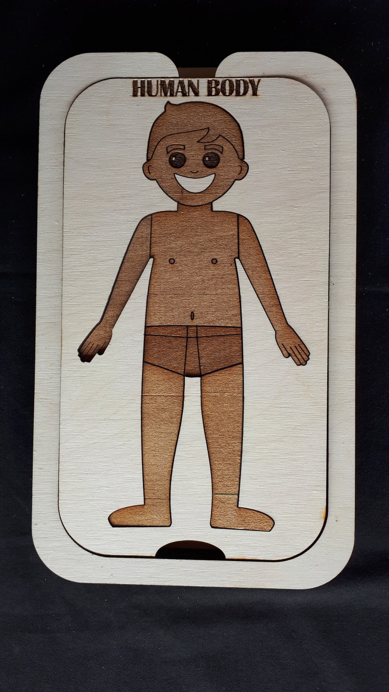 Anatomy Puzzle Laser Cutter Design Files - Etsy