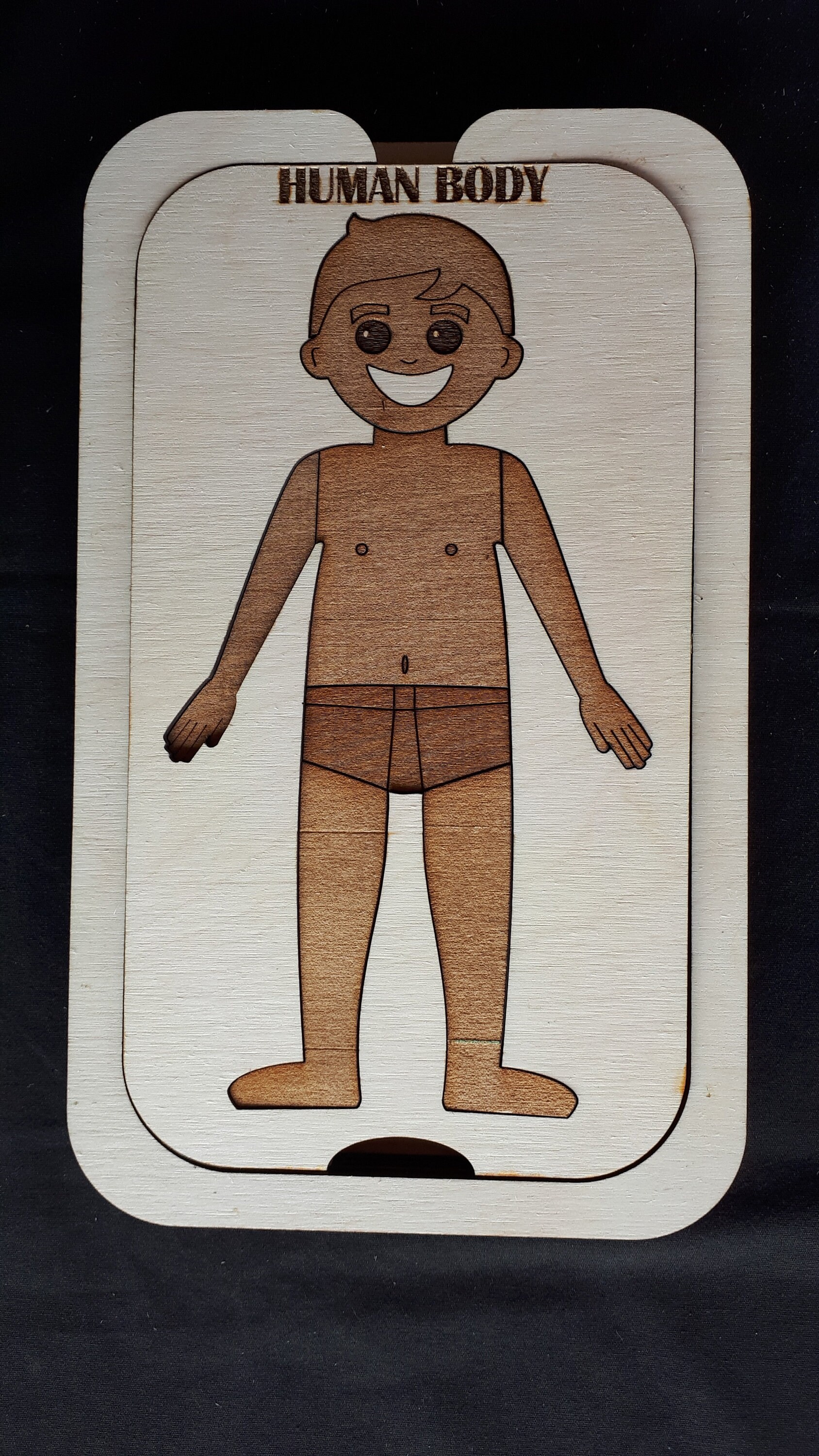 Anatomy Puzzle Laser Cutter Design Files - Etsy Canada