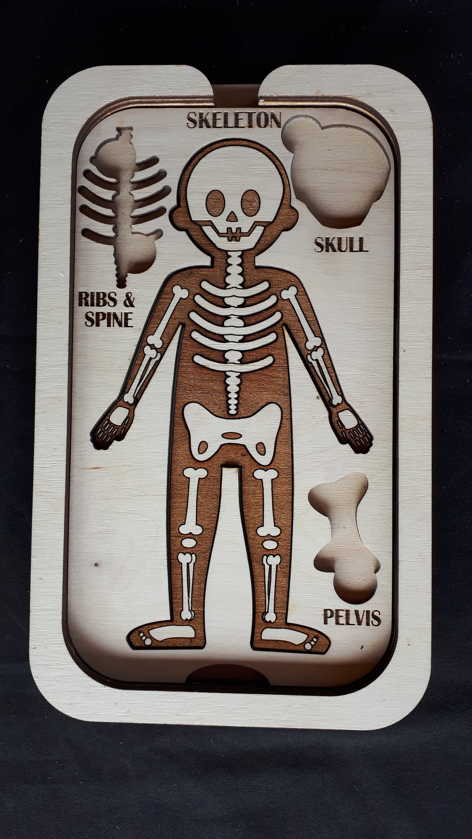 Anatomy Puzzle Laser Cutter Design Files - Etsy