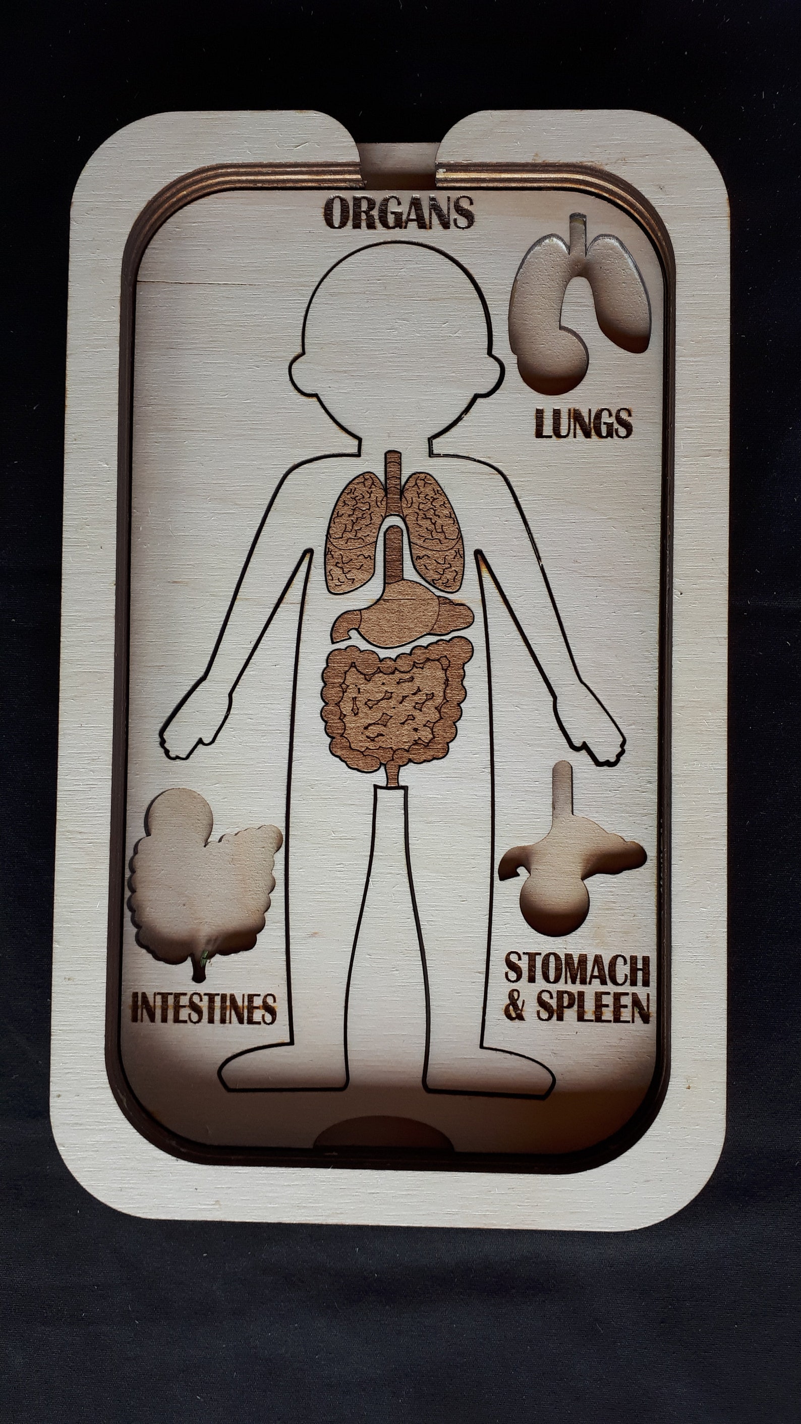 Anatomy Puzzle Laser Cutter Design Files - Etsy