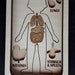 Anatomy Puzzle Laser Cutter Design Files - Etsy