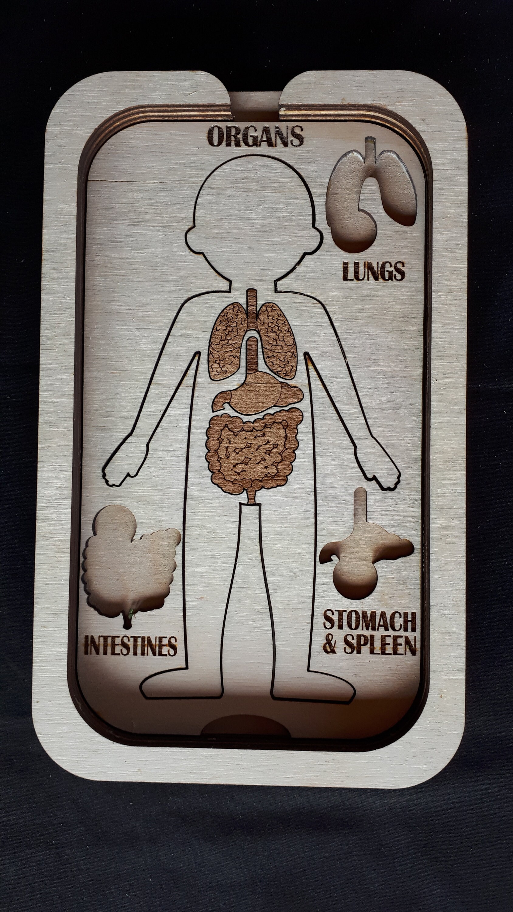 Anatomy Puzzle Laser Cutter Design Files - Etsy Canada