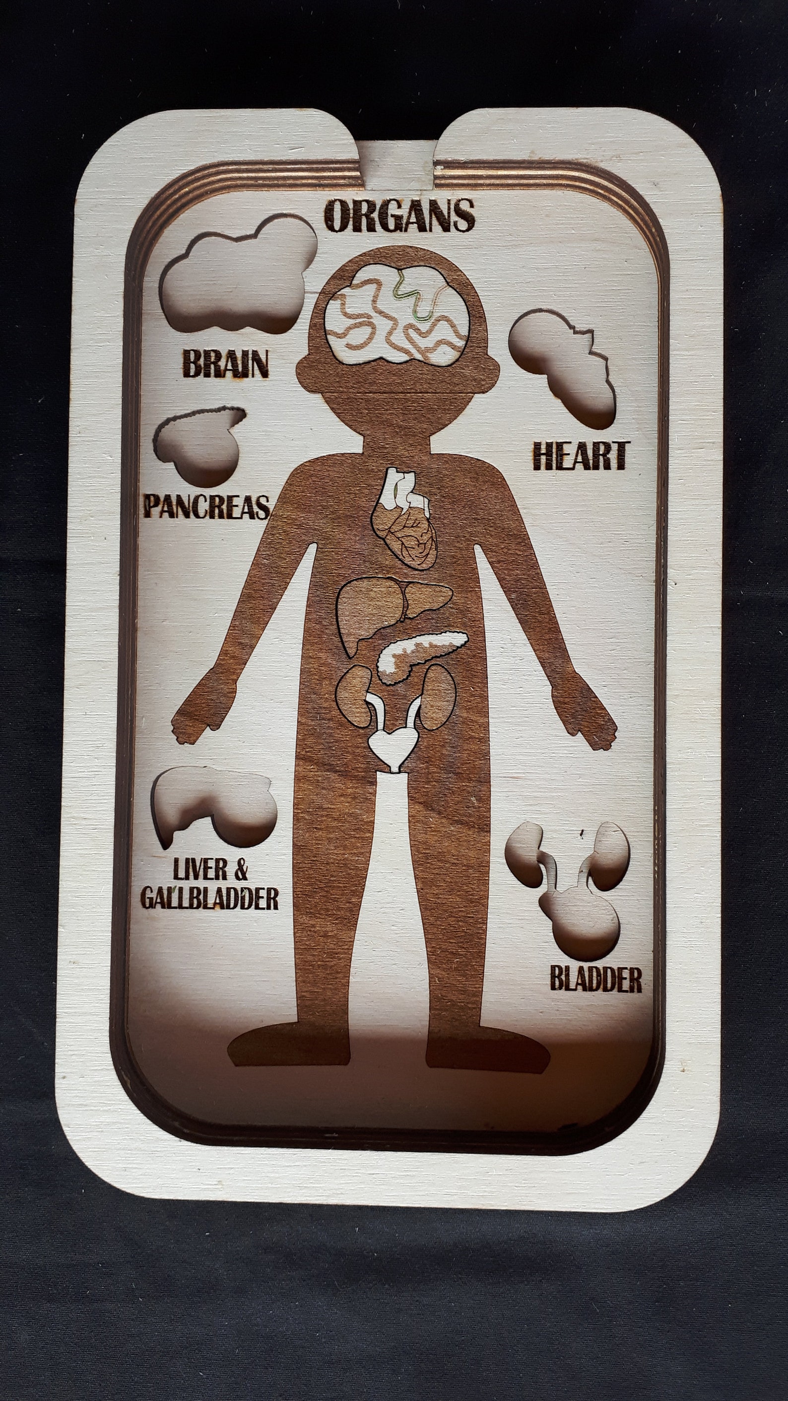 Anatomy Puzzle Laser Cutter Design Files - Etsy Canada