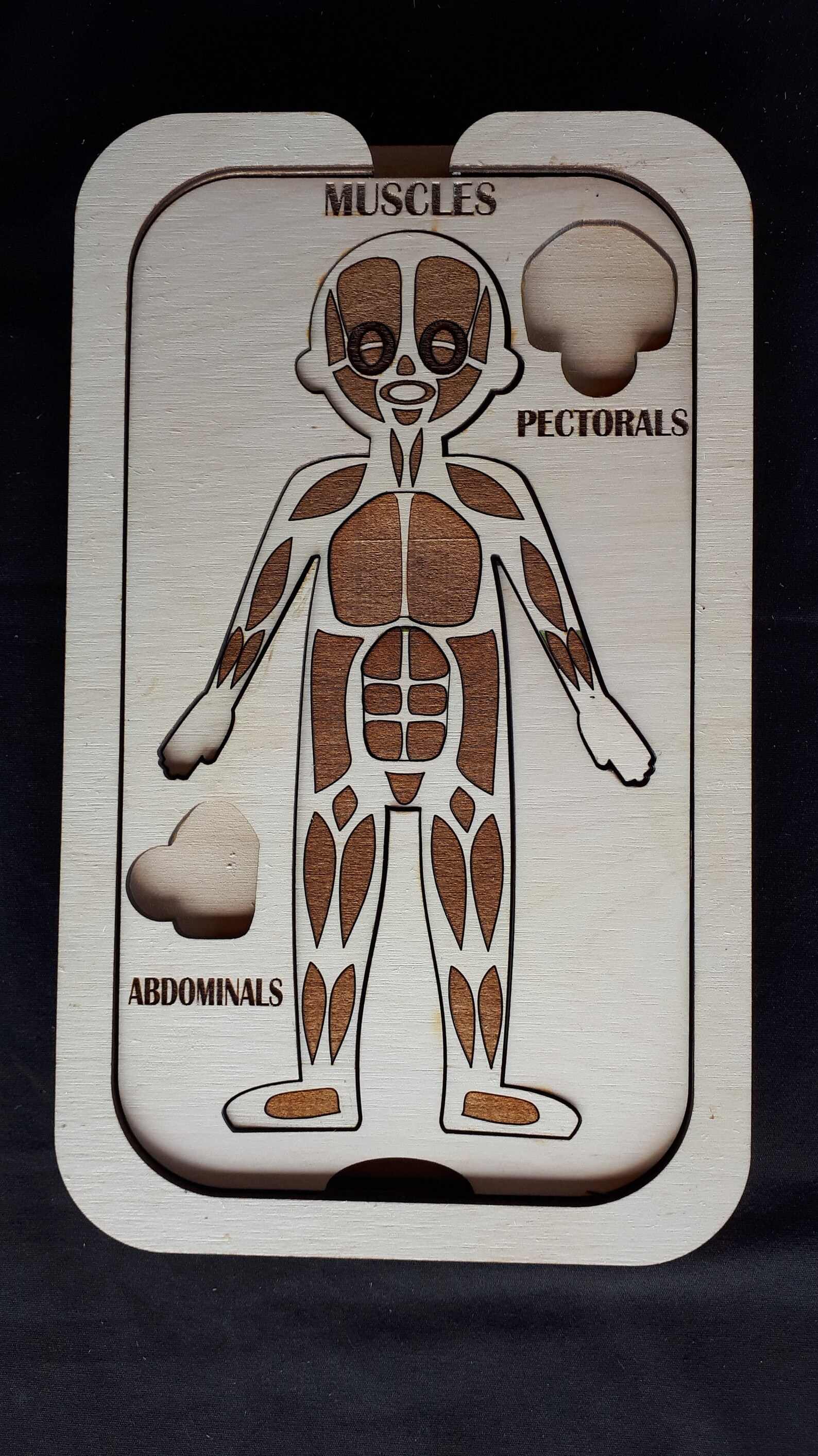 Anatomy Puzzle Laser Cutter Design Files - Etsy