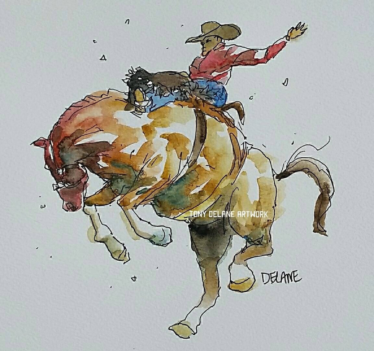 Rodeo Watercolor Art Print on Paper. 8 Inches by 8 Inches in Size. - Etsy