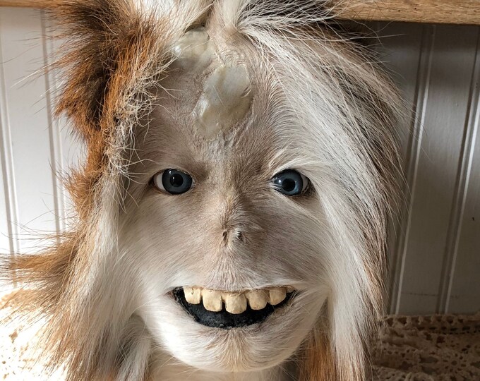 Vintage Taxidermy Assquatch or Swampbooger - Etsy