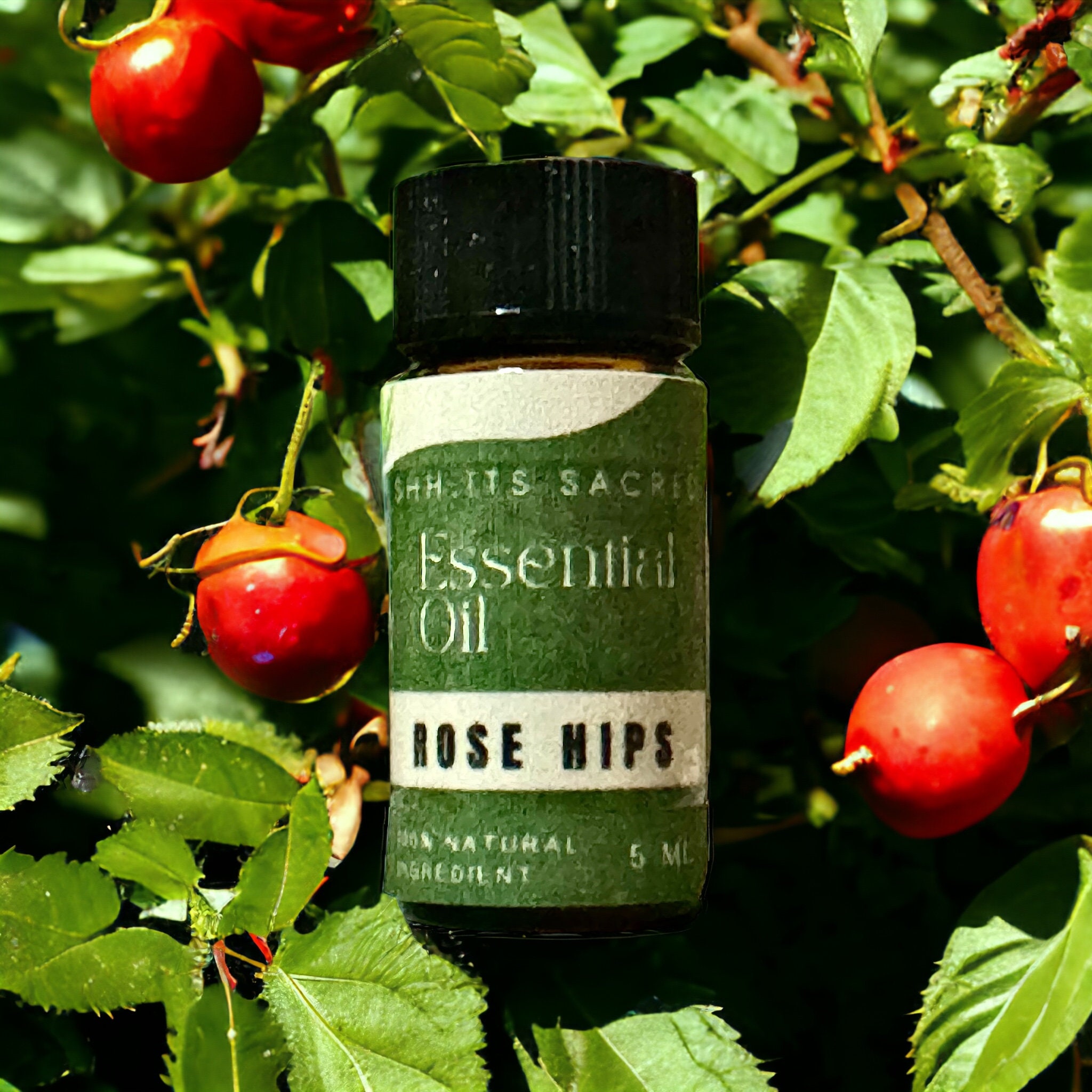 Rose Hip Essential Oil - Etsy