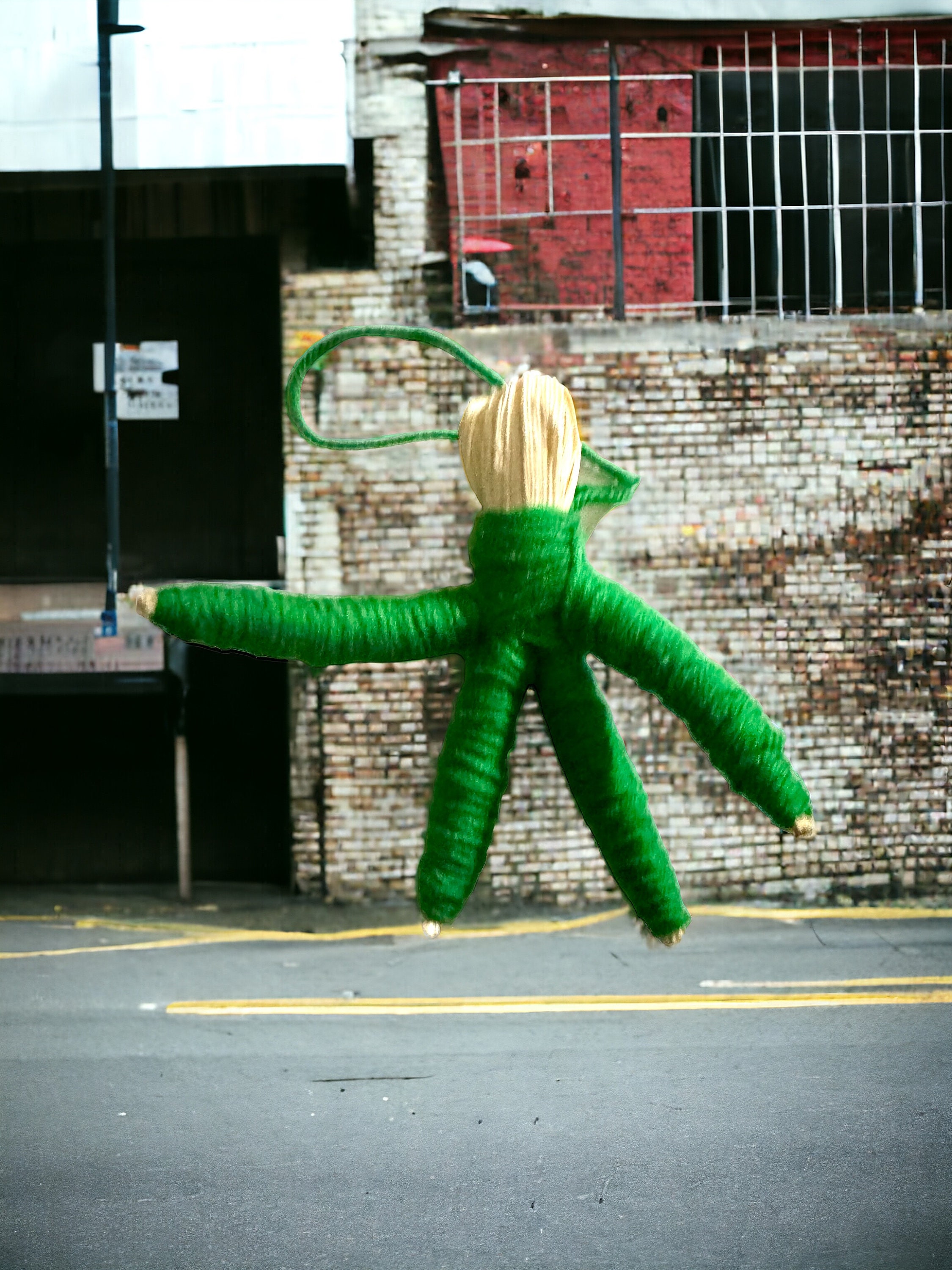 Green Voodoo Manifesting Doll - Etsy