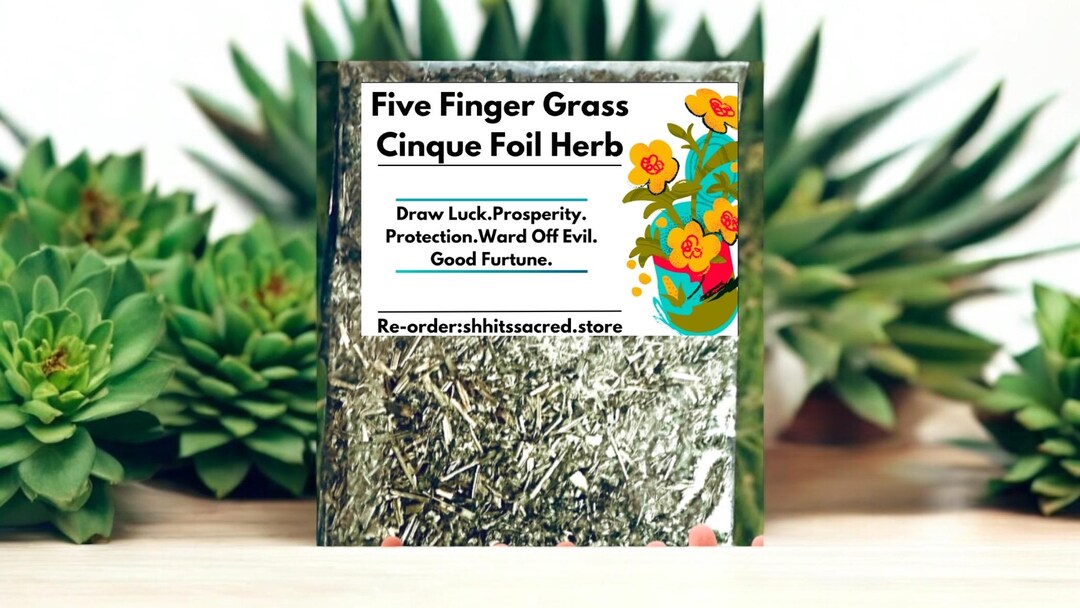 Five Finger Grass Herb Cinquefoil Sacred Prosperity Herb Luck ...