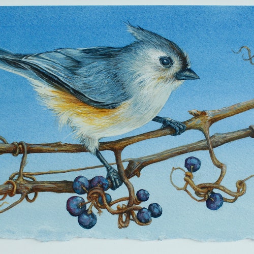 Titmouse Painting Titmouse Art Wildlife Giclee Print - Etsy