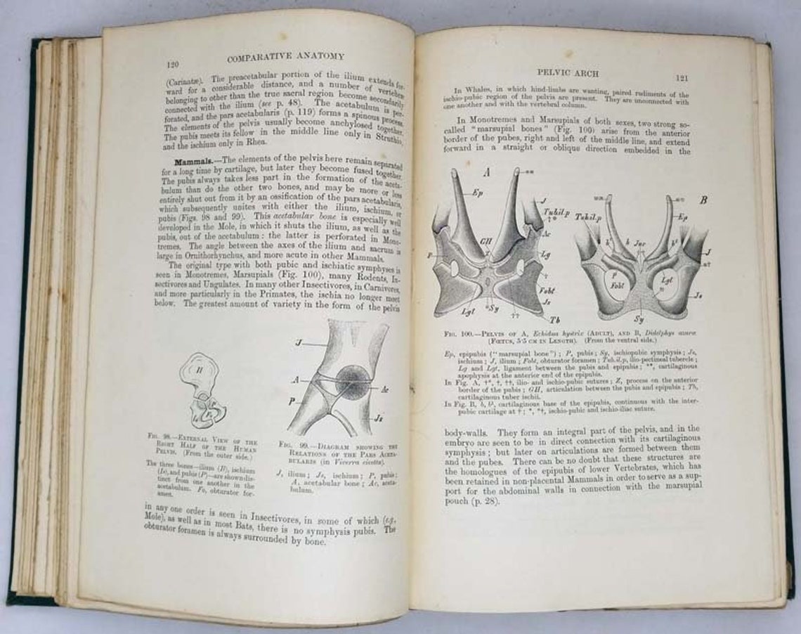 Rare medical books - siiowl