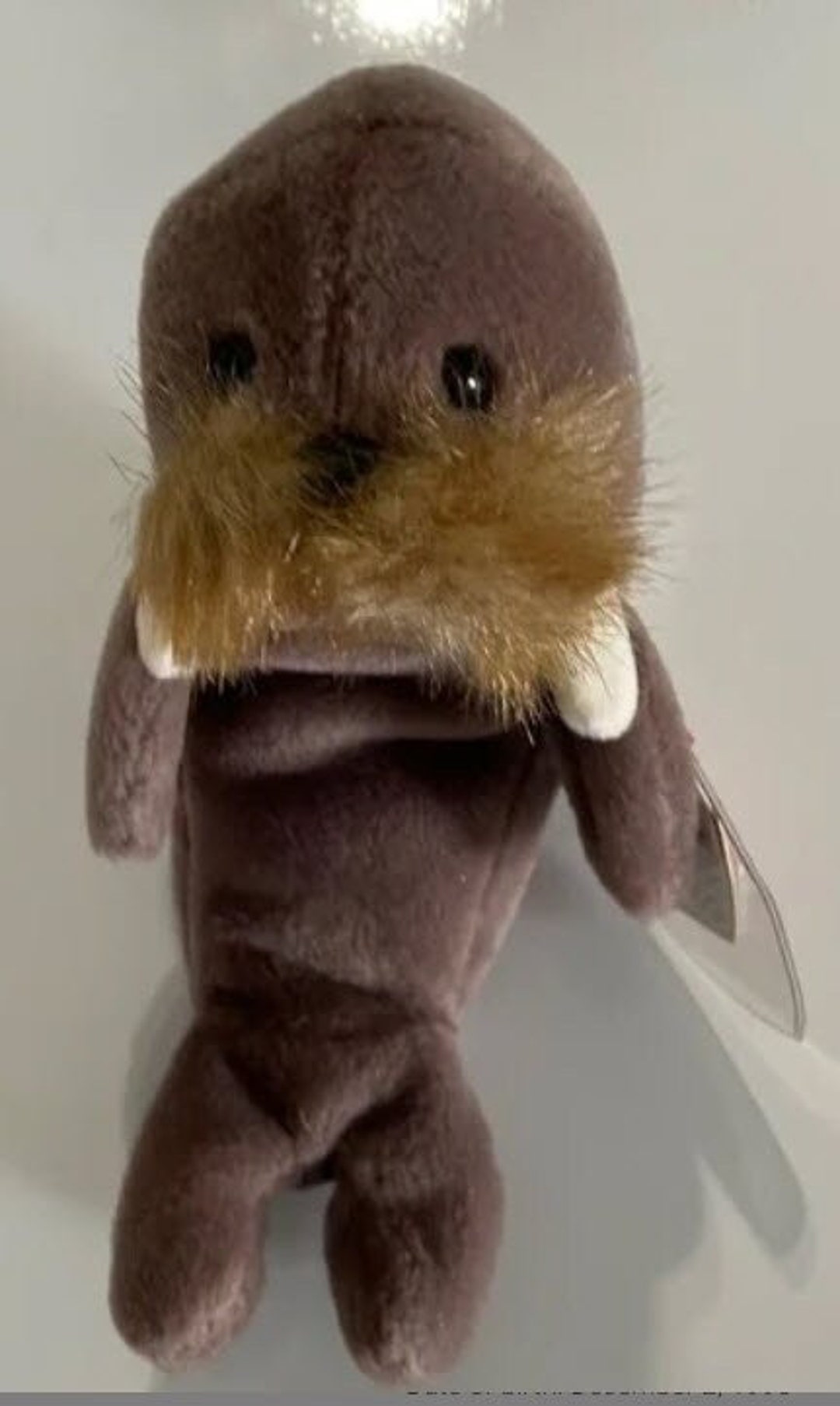 Ty Beanie Baby * Jolly the Walrus * Date of Birth: December 2, 1996 ...