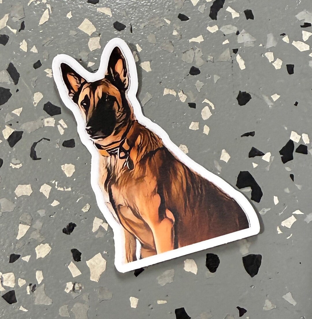 Belgian Malinois Vinyl Sticker – Perfect for Laptops, Water Bottles ...