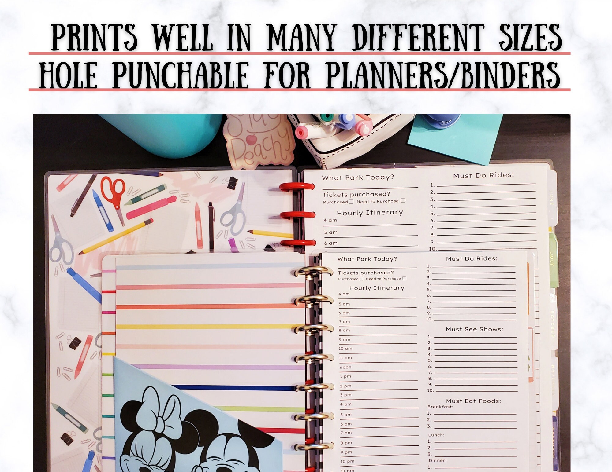 PRINTABLE Theme Park Daily Planner Digital Download Vacation Planner ...