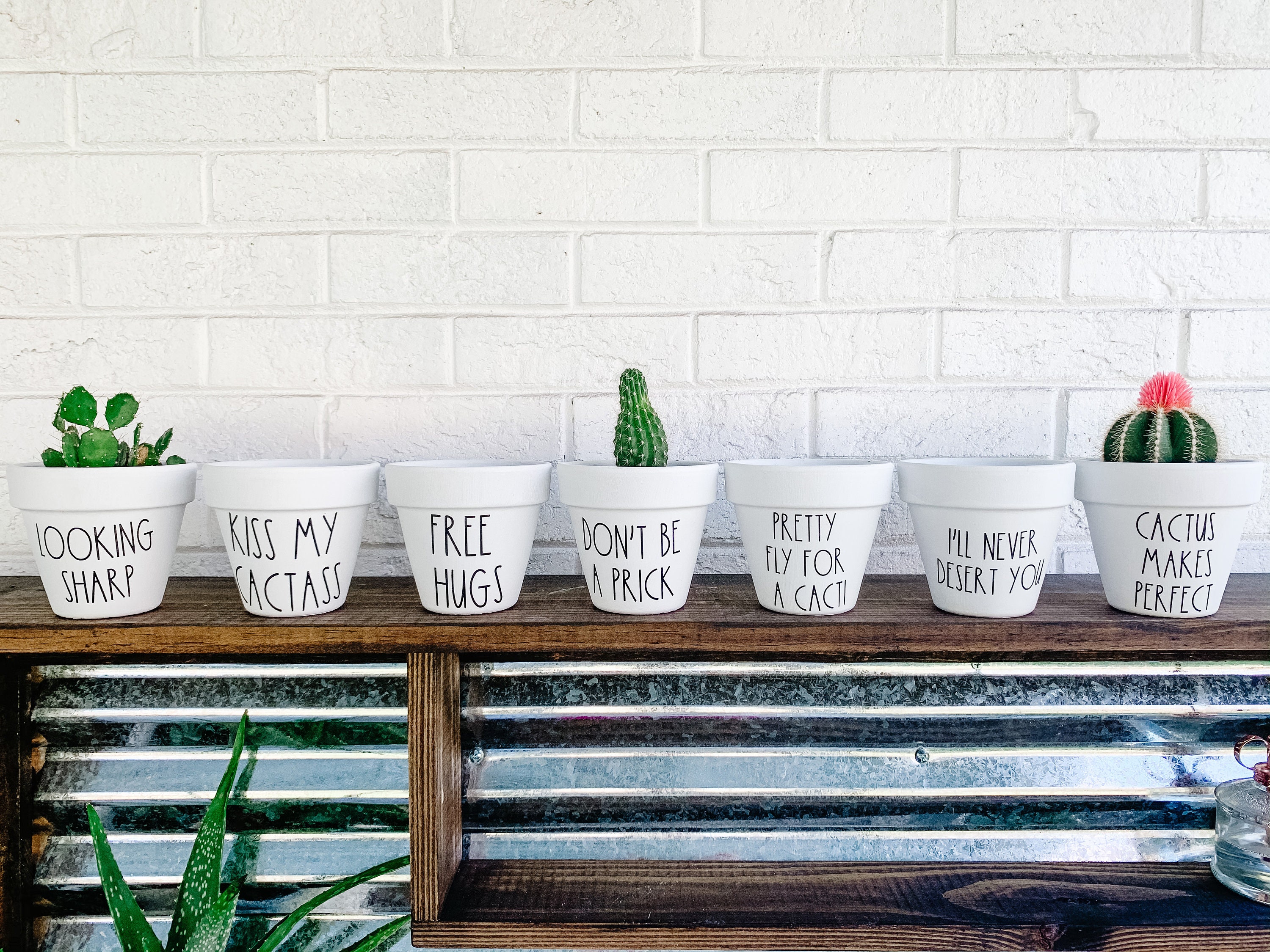 Testicle Plant Pot - Etsy