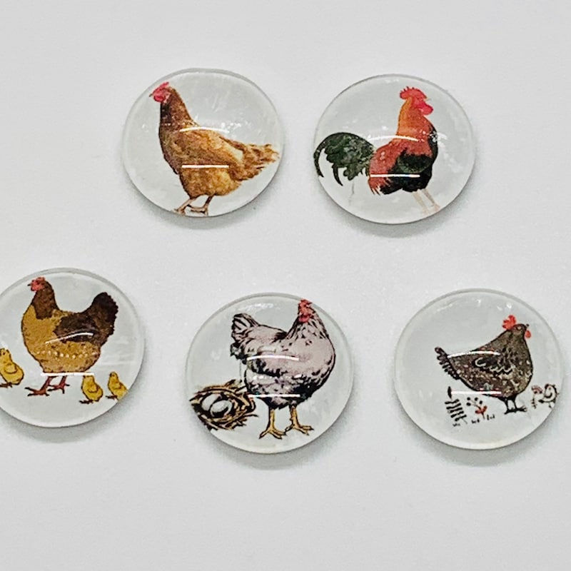 Chicken Magnets - Etsy