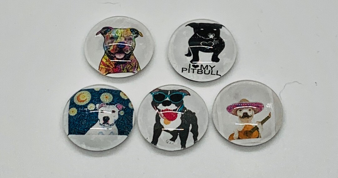 Pitbull Magnet, Pitbull Magnet Set, Pitbull Gifts, Pitbull Magnet Sets ...