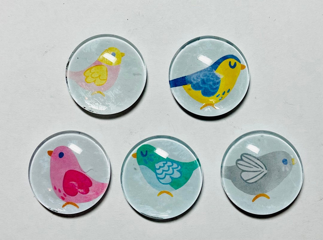 Bird Magnet Set, Bird Magnet, Handmade Bird Magnets Set of 5, Bird Gift ...