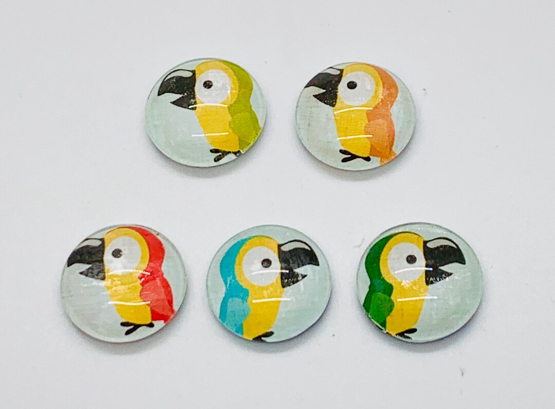Parrot Magnet Set, Bird Magnet, Handmade Bird Magnet Set of 5, Parrot ...