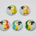 Parrot Magnet Set Bird Magnet Handmade Bird Magnet Set of 5 - Etsy