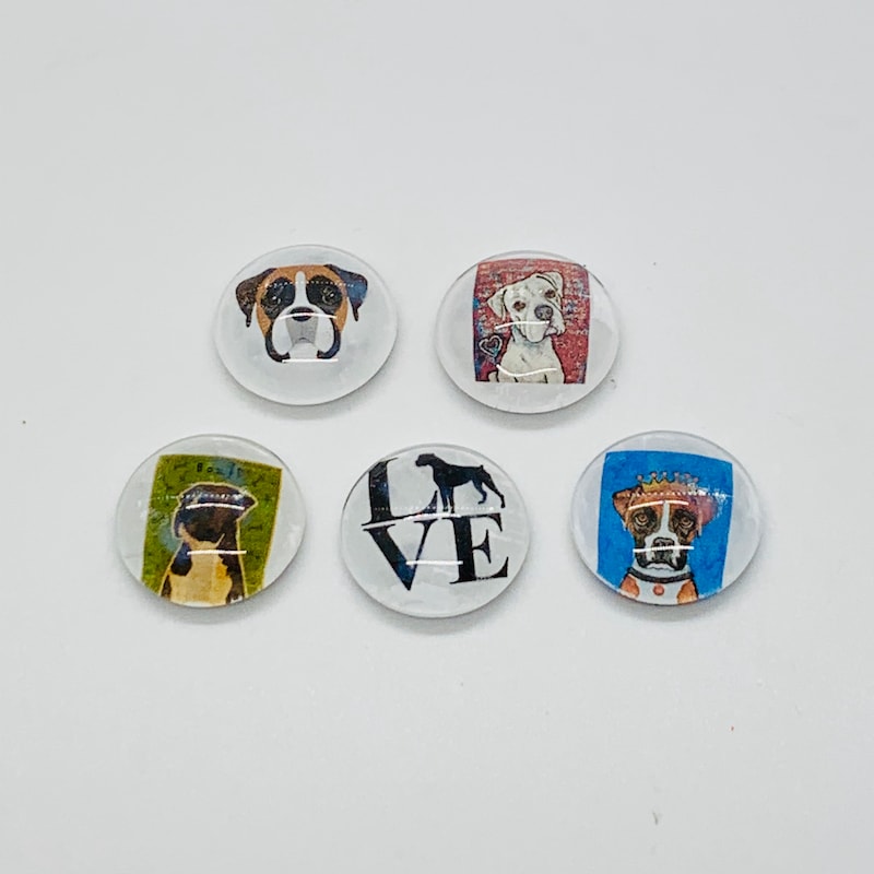 Boxer Dog Gift - 60+ Gift Ideas for 2025