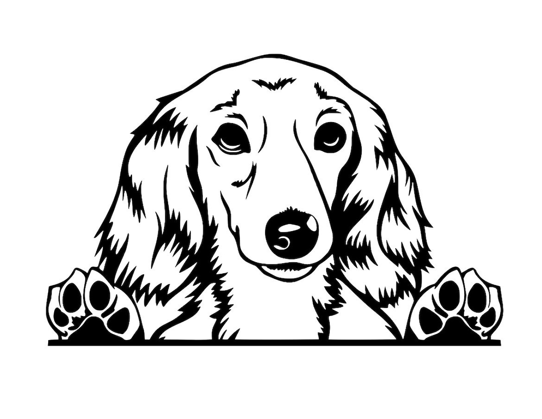 Dachshund Decal, Dachshund Sticker, Dachshund Car Decal, Dachshund Car ...