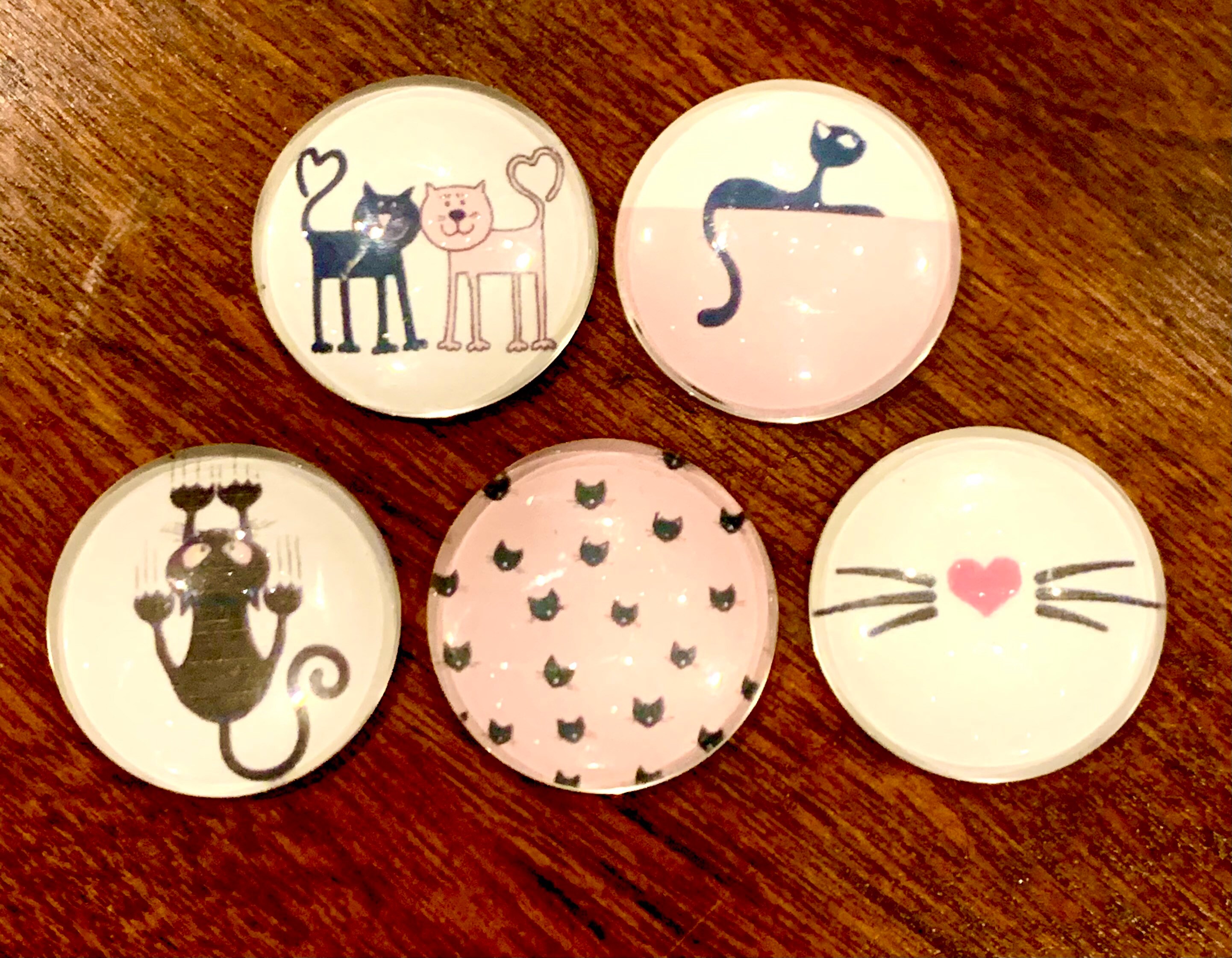 Cat magnets glass magnets cat gift cat decor Cat magnet | Etsy