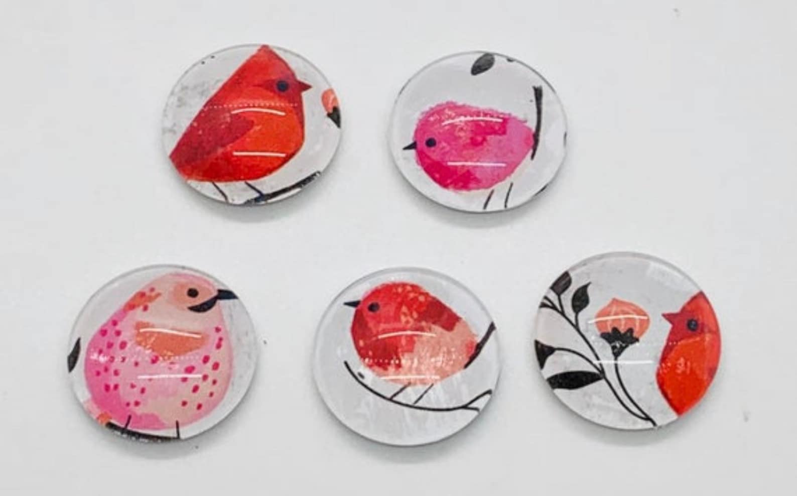 Cardinal Magnet Glass Magnet Cardinal Magnet Set Bird - Etsy