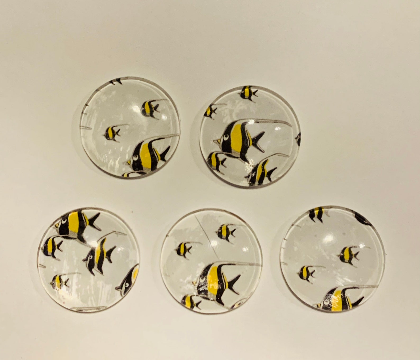 Fish Magnets, Set of 5 Glass Angel Fish Magnets, Fish Home Decor ...