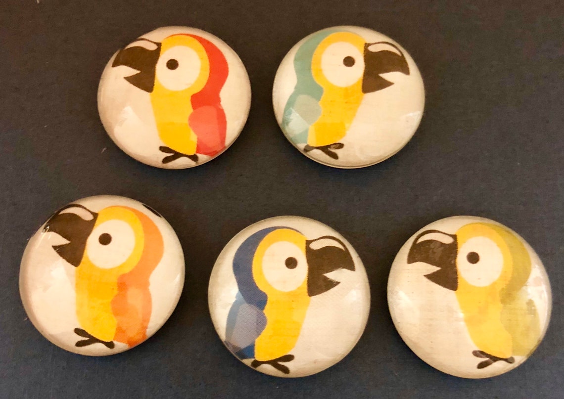 Parrot Magnet Set Bird Magnet Handmade Bird Magnet Set of 5 - Etsy