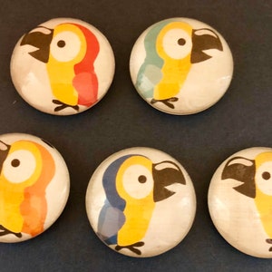 Parrot Magnet Set, Bird Magnet, Handmade Bird Magnet Set of 5, Parrot ...
