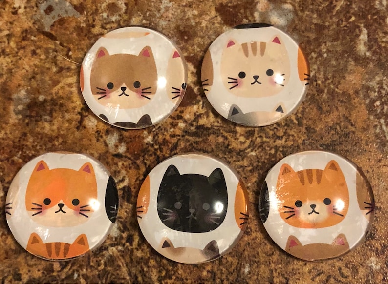 Cat Magnets Glass Magnets Cat Gift Cat Decor Cat Magnet - Etsy