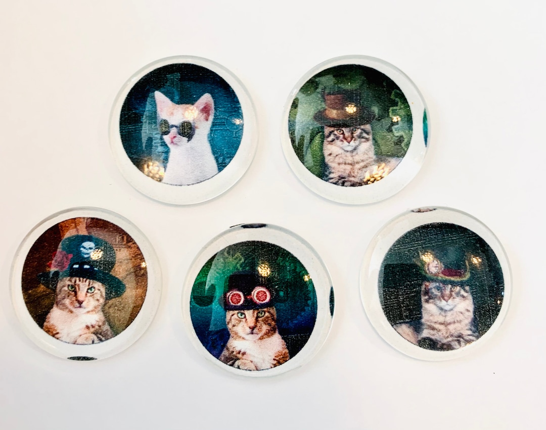 Cat Magnets, Glass Magnets, Cat Gift, Cat Decor, Cat Magnet, Cat ...