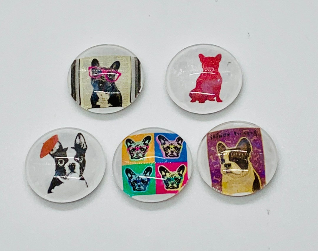 Glass Magnets, Bostons Magnet Set, Dog Magnets, Dogs Magnets, Dog Gift ...