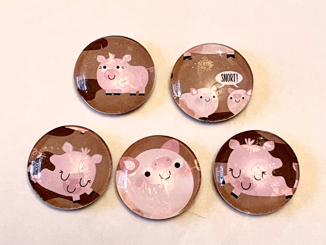 Glass Pig Magnets, Pig Magnet Set, Gifts for Kids, Glass Magnets, Pig ...