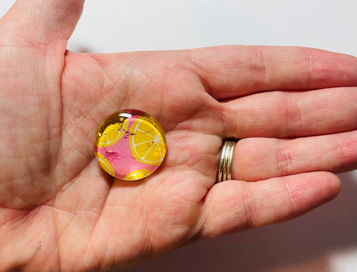 Glass Camel Magnets, Camel Magnet Set, Gifts for Kids, Glass Magnets ...