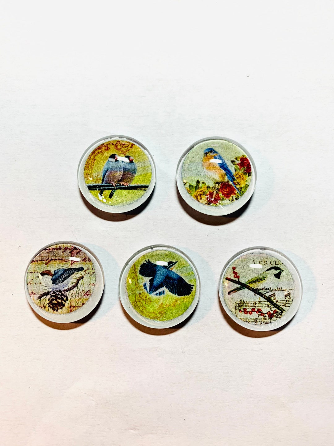 Bird Magnet Set, Bird Magnet, Handmade Bird Magnets Set of 5, Bird Gift ...